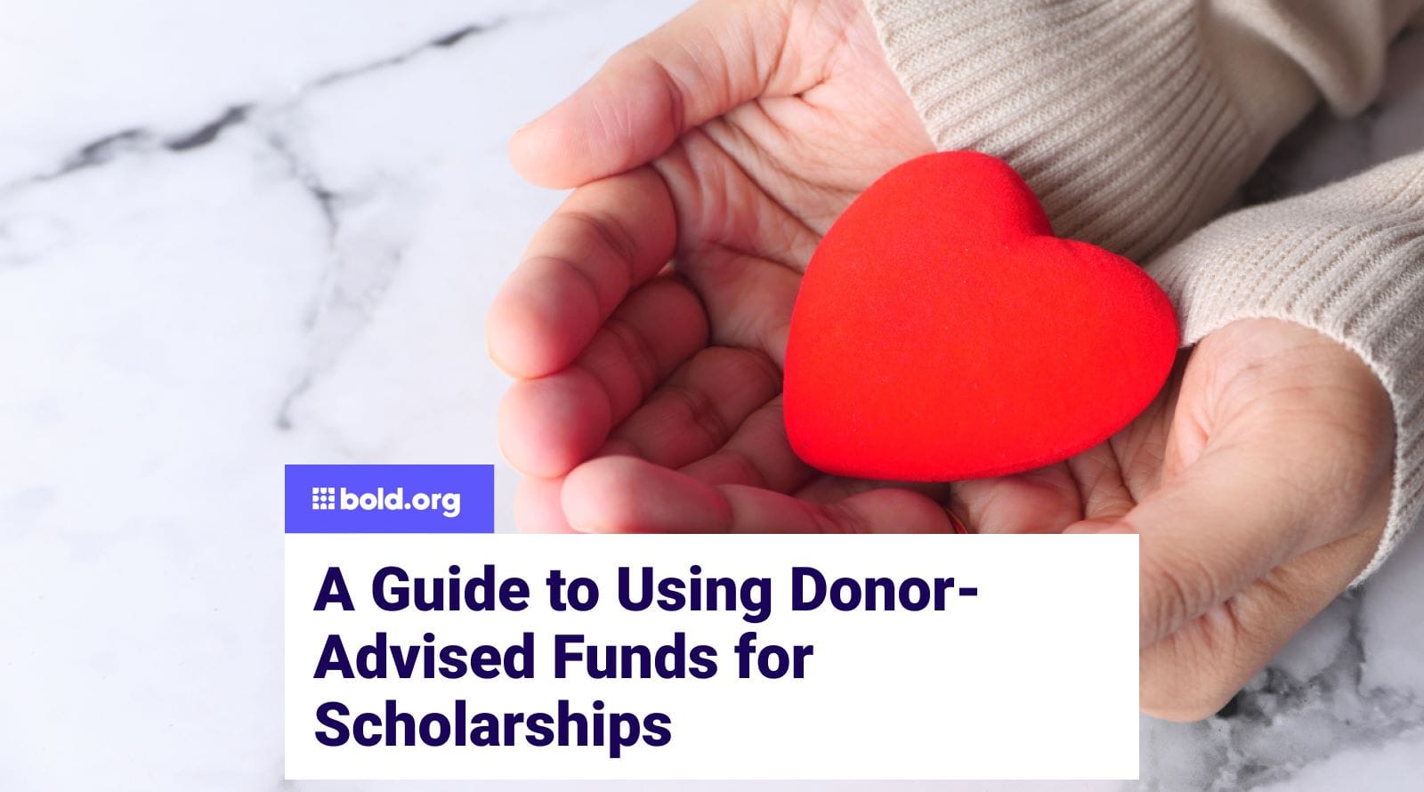 A Guide to Using Donor-Advised Funds for Scholarships | Bold.org