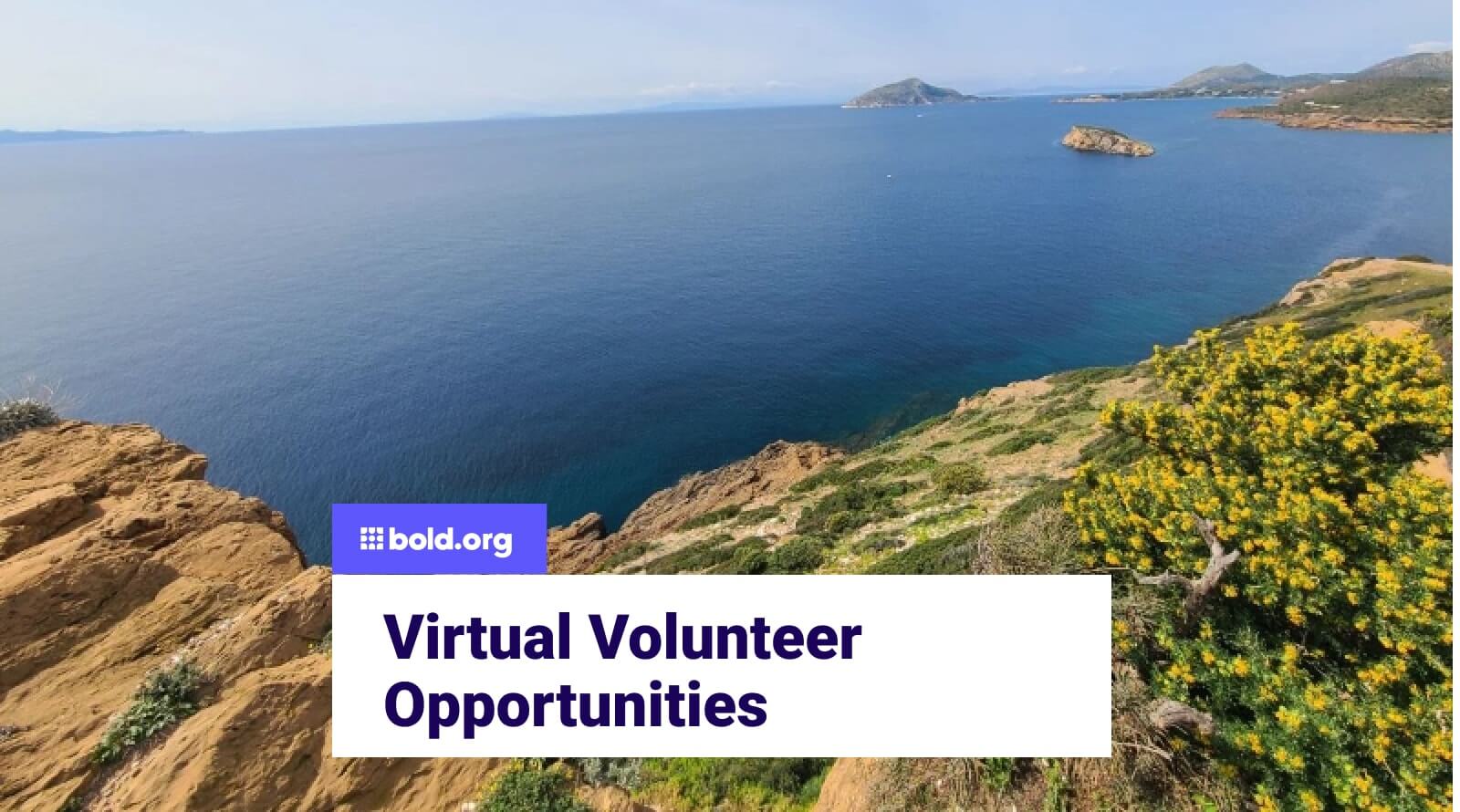Best Virtual Volunteer Opportunities in 2025 | Bold.org