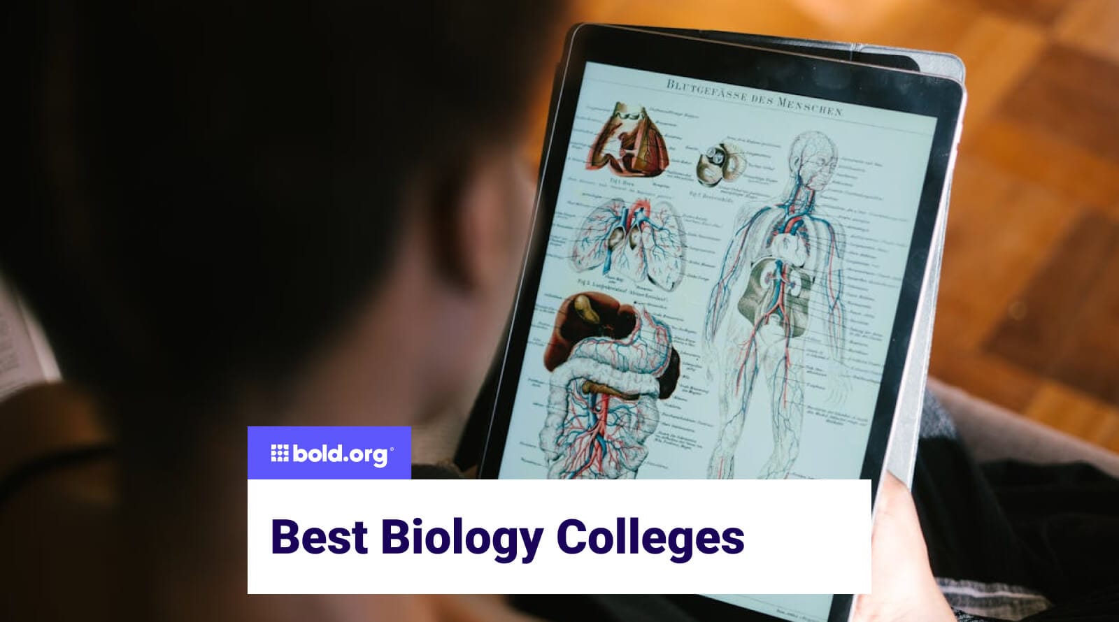 Top Biology Colleges in 2025 | Bold.org